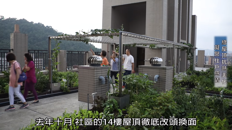 熱島下「不妥協」︰打造城市綠洲 – 世新大學小世界