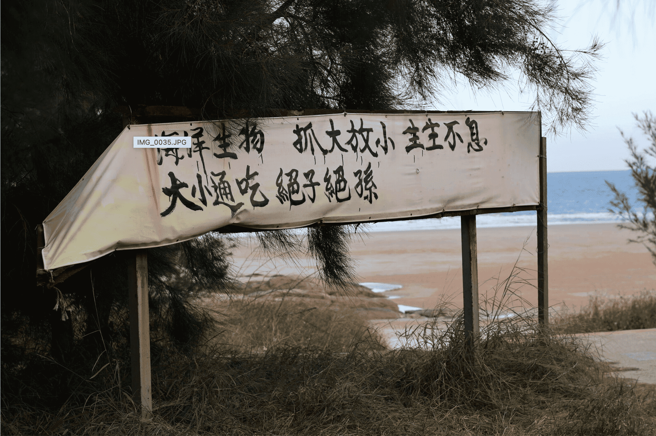 2303 3 – 世新大學小世界